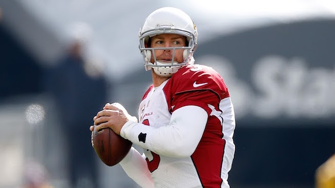 Carson Palmer Bio, Wiki, Facts, Weight, Height, Age, Net Worth, Affairs ...
